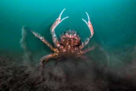 2019 Shortlist | British Photography Awards